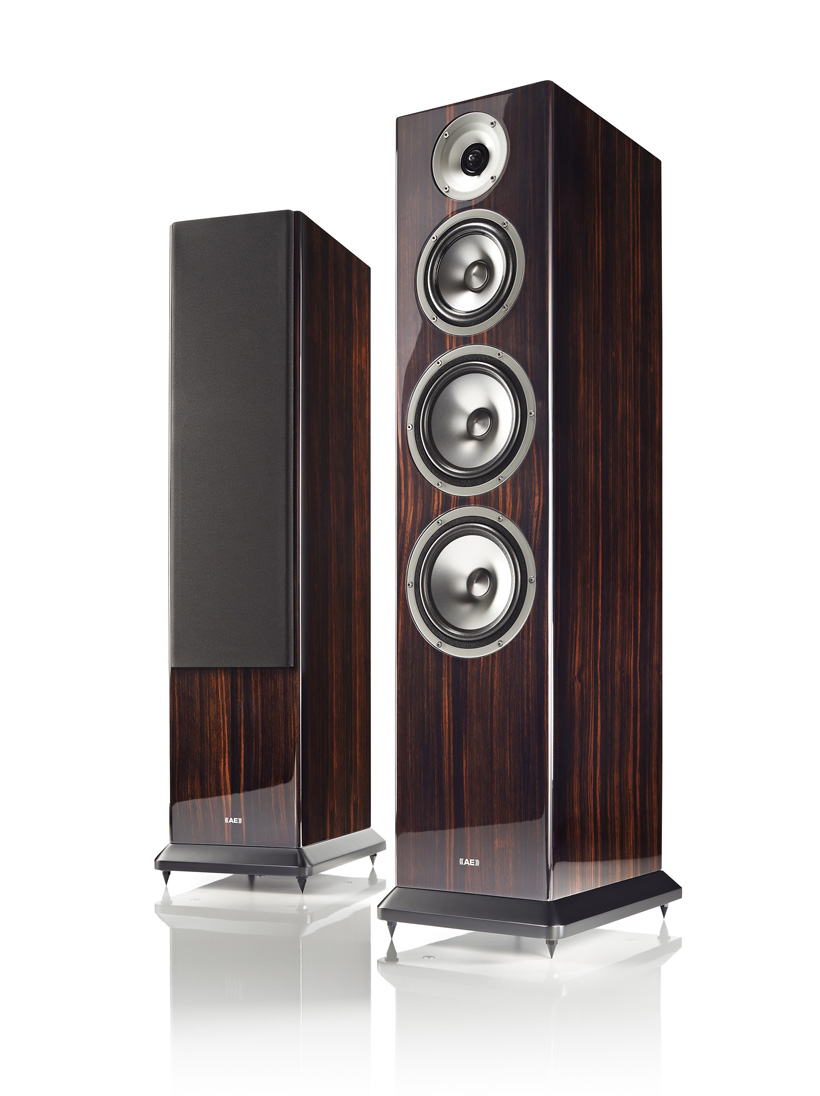 Acoustic Energy Reference Three | The Ear